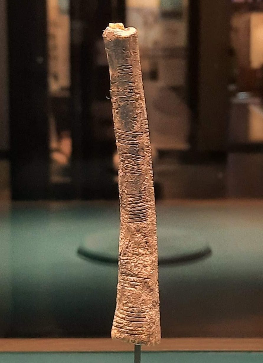 Ishango Bone, World's first calculator